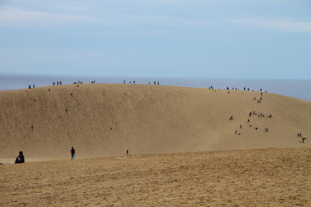 鳥取砂丘(Tottori Sakyu) | GO TO JAPAN